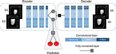 Learning Interpretable Anatomical Features Through Deep Generative