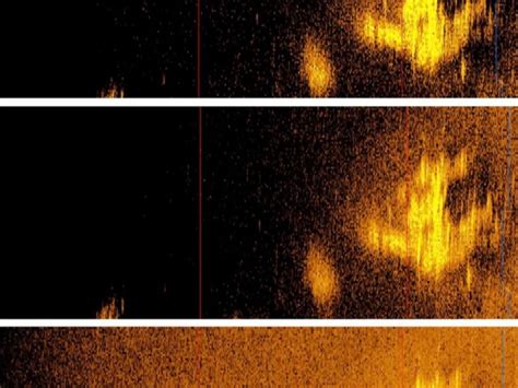 Scientists Claim Theyve Discovered Amelia Earharts Plane Wreckage