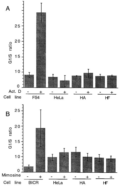 Actinomycin D Act D And L Mimosine Failed To Induce G 1 Arrest In