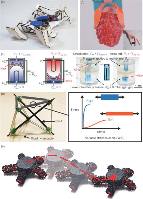 Figure 1 From Bio Inspired Physical Intelligence For Soft Robotics Semantic Scholar