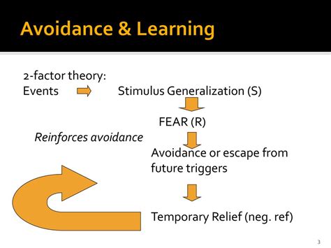 Exposure Based Cbt Interventions Ppt Download