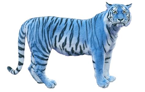 Giant Realistic Flying Tiger Heroes Wiki Descubra O Melhor Do