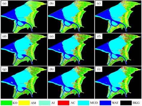 Mangrove Species Classification Using Svm Ac Random Forest Df Download Scientific