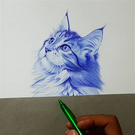 Dessin Au Stylo Bic Bleu