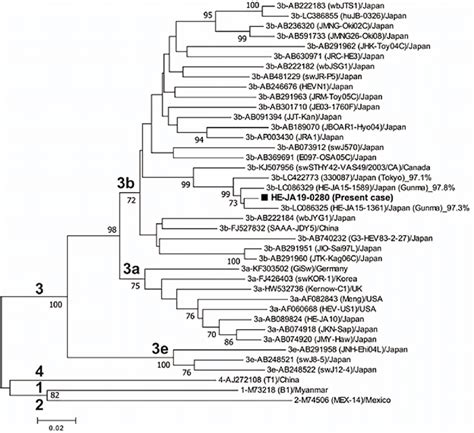 Figure5 Phylogenetic Tree Constructed By The Neighbor Joining Method