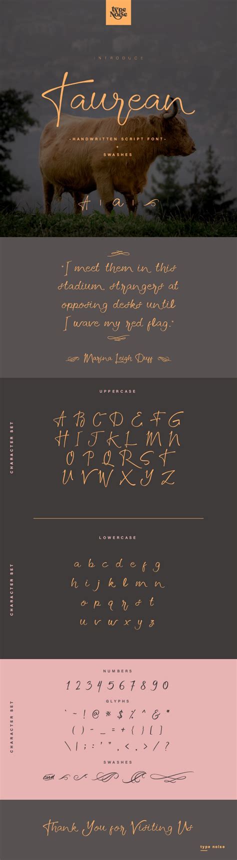 Taurean Font Fonts Graphicriver