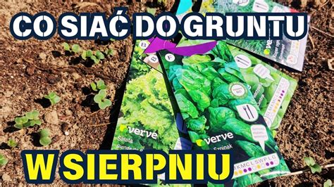 Co SiaĆ Do Gruntu W Sierpniu 🌱 🌱 🌱 Youtube