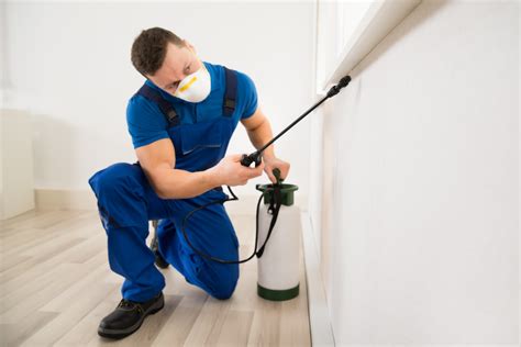 The Importance Of Regular Pest Control Maintenance The Killers Pest