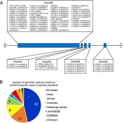 Nonsense Mutations In The Dst B Specific Exons A Locations Of Download Scientific Diagram
