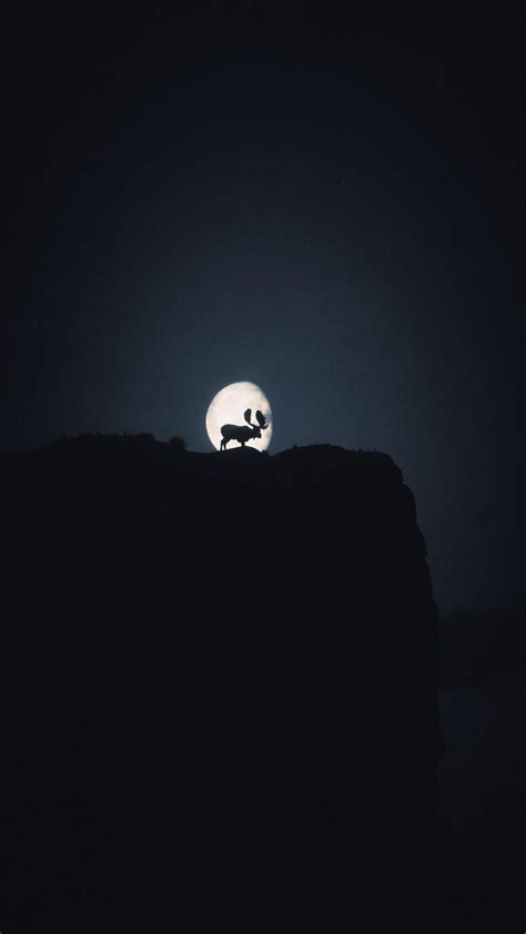 Wild Wild Life Rreddeadredemption