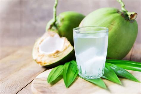 M Cho Con B C N N U Ng N C D A Kh Ng C An To N Cho Kh Ng