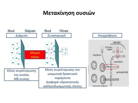 Ισοζύγιο νατρίου στην περιτοναϊκή κάθαρση Ppt κατέβασμα
