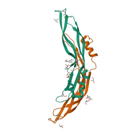 RCSB PDB 4JPH Crystal Structure Of Protein Related To DAN And