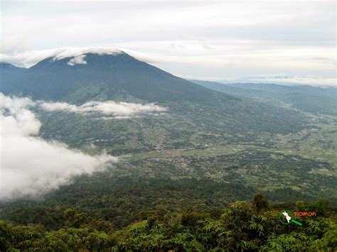 Gunung Singgalang Pustaka Pandani