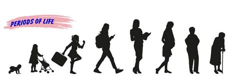 Women Stages Of Development Silhouettes Painted Vector Image