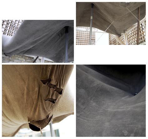 Hybridbiostructures 2011