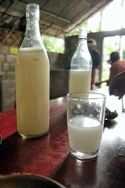 What You Should Know About This Exotic Drink Tuba — Ngo Your Meal