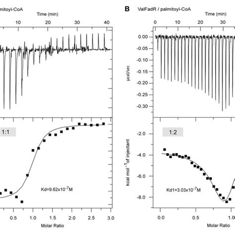 Spr Based Assays For Binding Of Faba To The Fadr Regulator A Spr