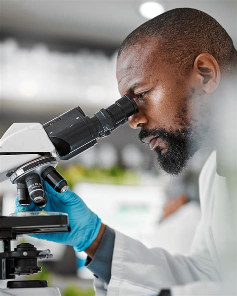 Integrated Lipid Management Peninsula Research And Innovation Partnership