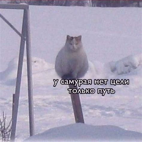 милые пикчи милые пикчи ВКонтакте