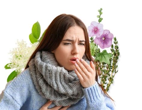 7 Amazing Natural Remedies For Persistent Cough With Herbs