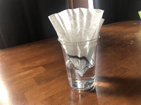 Chromatography Art Buffalo Museum Of Science