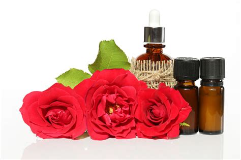 오일 장미 세트입니다 갈색 유리병에 흰색 바탕에 밝은 빨간 장미 장미 에센셜 오일 순수 유기농 로즈 오일 개체 그룹에 대한 스톡 사진 및 기타 이미지 Istock