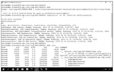 Tools For The Sap Hana Administrator