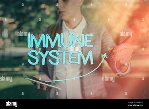 Word Writing Text Immune System Business Photo Showcasing Complex Network Work Together To
