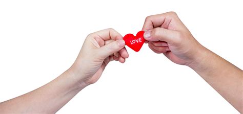 Free Hand Holding Heart Shaped Isolated PNG With Transparent Background