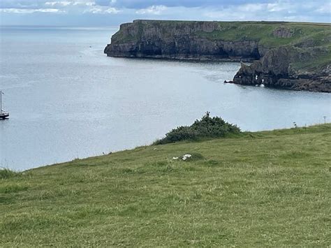 Beautiful Traveller Reviews Stackpole Quay Tripadvisor