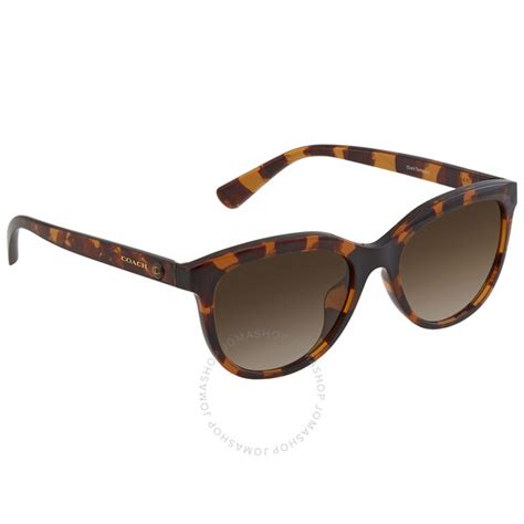 Coach Polarized Brown Gradient Oval Ladies Sunglasses Hc8285u 5120t5 56