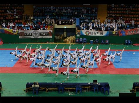 미주 용인대 동문회 제 32회 용인대 총장기 전국 태권도 대회가 강원도 철원에서 막이 올랐습니다 Facebook