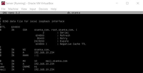 Cara Install Dan Konfigurasi Dns Server Di Debian 10 ~ Sri Rahayu S Kom