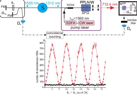 A Photonic Quantum Interface Dedicated To Transferring Coherently