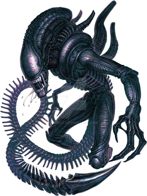 Emperor Xenomorph