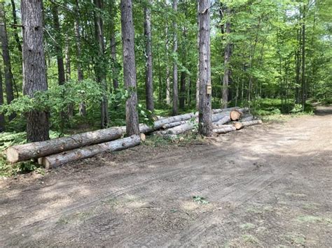Small Scale Logging Milling Question R Forestry