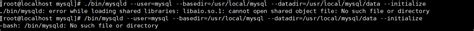 Linux Mysql初始化报错，提示找不到相应文件或者目录解决方法：linux Mysql实例初始化没有那个文件或目录 Csdn博客