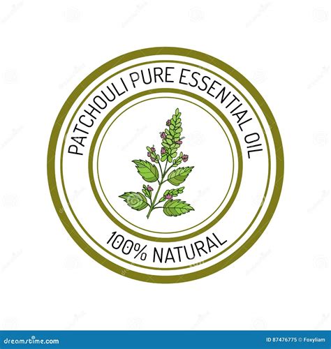 Plant Patchouli Pogostemon Cablini Cartoon Vector 20927381