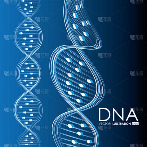 Dna 设计、 矢量图