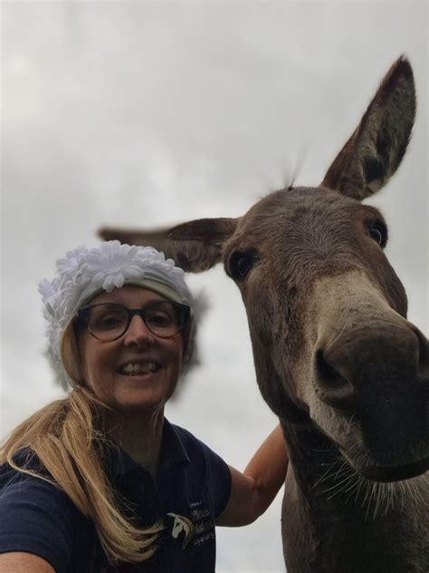 The Flicka Foundation Donkey Sanctuary Is Celebrating 30 Years On 31st