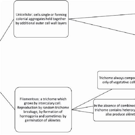 1 A Broad Classification Of Cyanobacteria As Originally Proposed By Download Scientific Diagram
