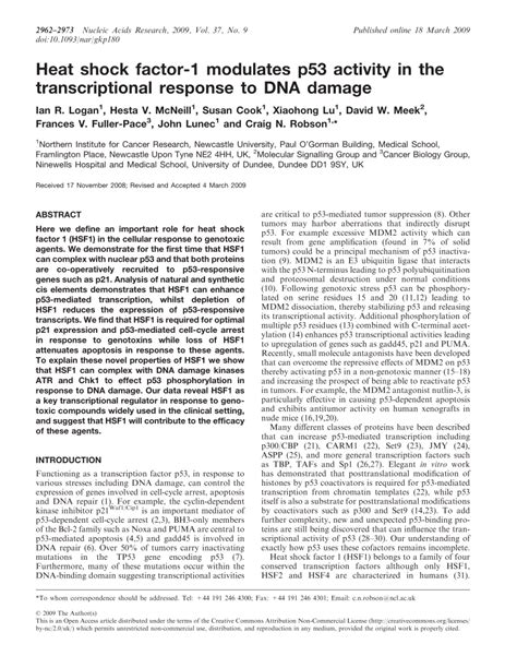 Pdf Heat Shock Factor 1 Modulates P53 Activity In The Transcriptional