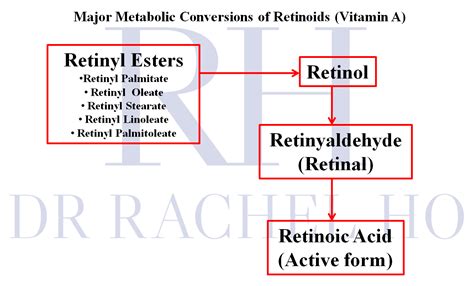 Dr Rachel Ho The Beginners Guide To Starting Retinoids