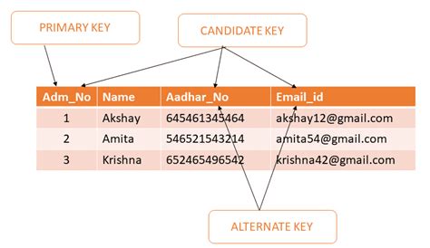 Cbse Xii Board