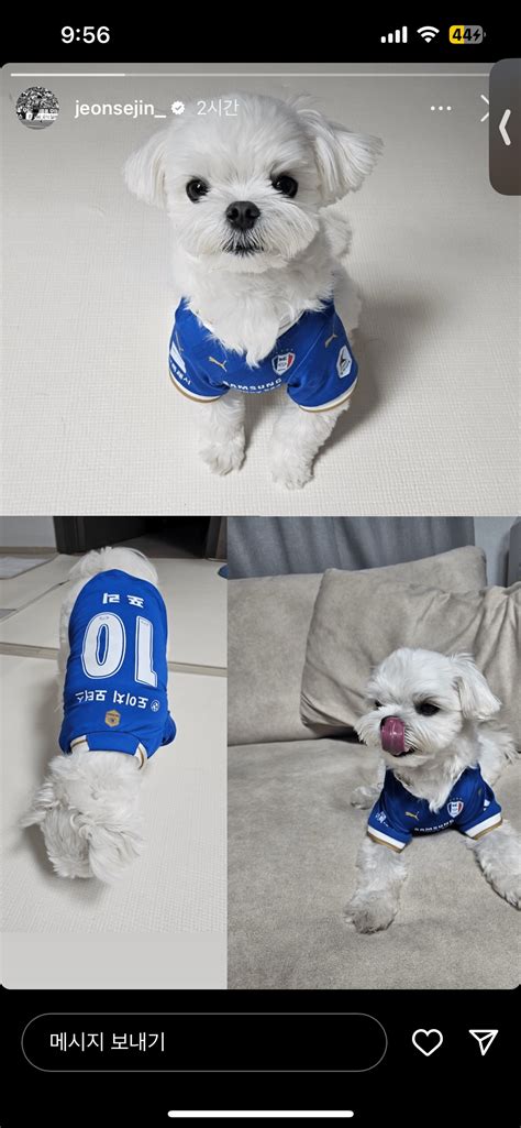 전진우 인스타스토리 국내축구 에펨코리아