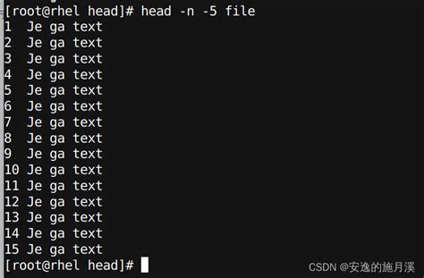 【linux】head的用法 输出文件开头的内容head怎么输出 Csdn博客