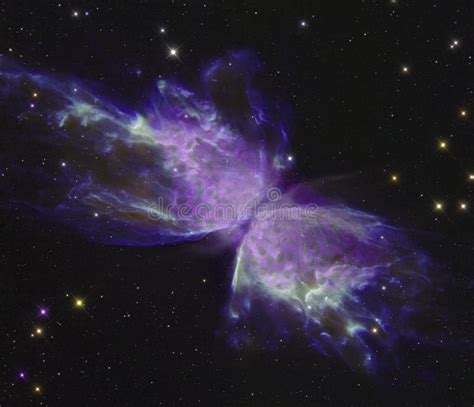 Nebulosa Da Borboleta Com Uma Borboleta Ilustração Stock Ilustração