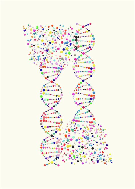 Dna Art Print Double Helix Science Digital Art By Wrenn Huber Fine
