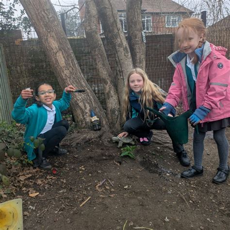 Highfield Ce Primary School Gardening Club